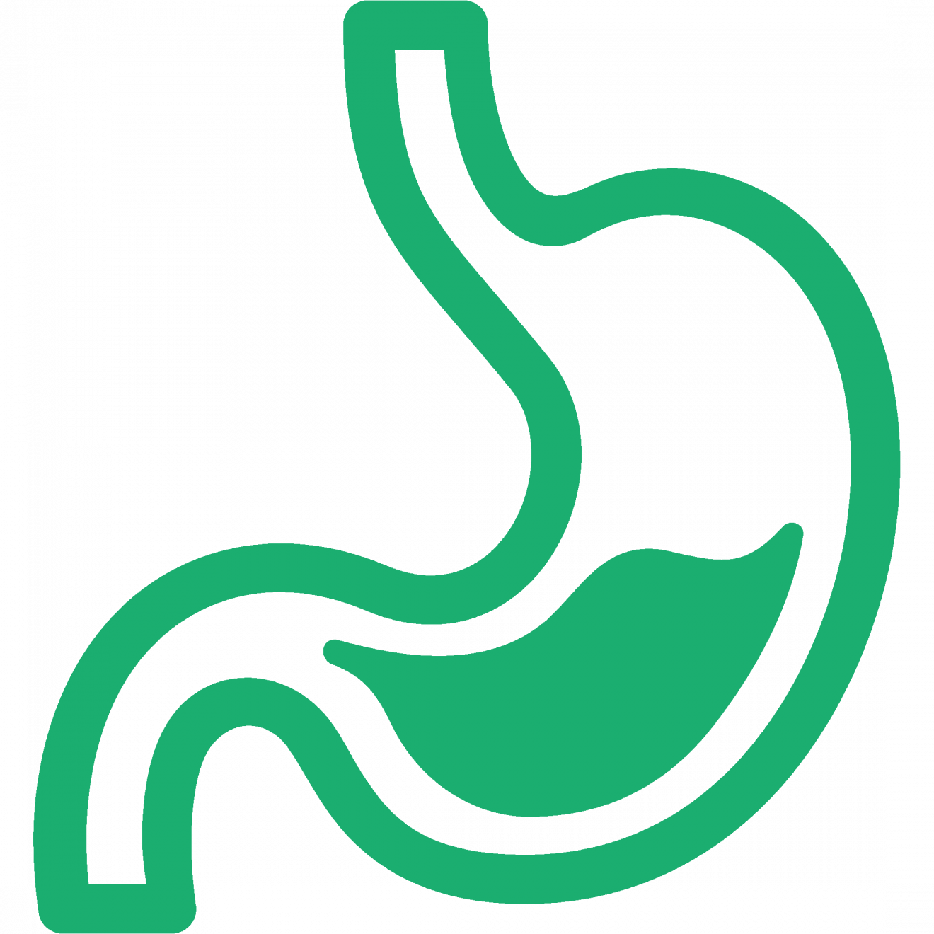 Wellness Health and Vitality